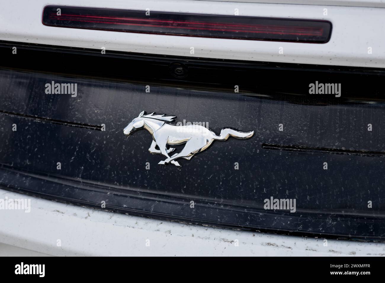 Logotipo De Mustang V6 Mustang Pony Emblem Rear Decklid V6/EcoBoost/GT