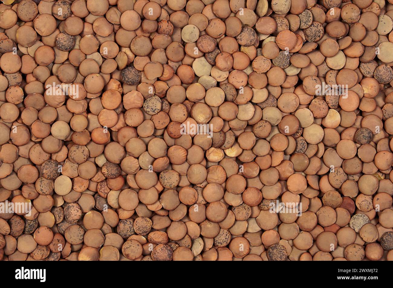 Texture background of lentils. Food background Stock Photo - Alamy