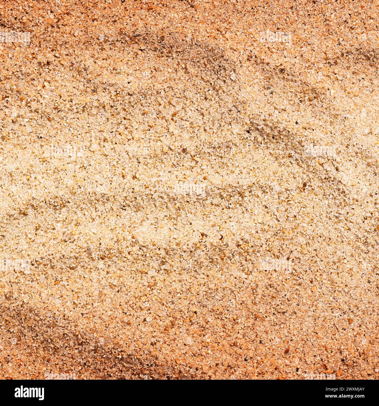 Bright dry and hot sea sand, top view. Golden sand texture with copy ...