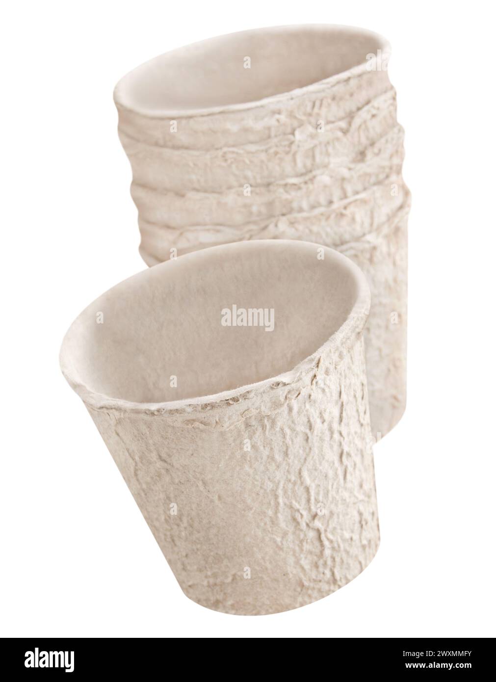 Cellulose Flower Pots biodegradable isolated on white background Stock ...