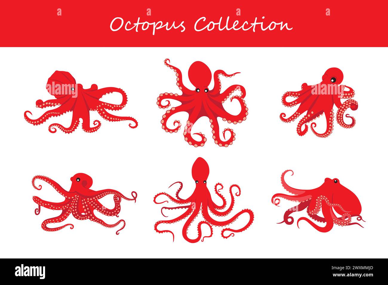 Octopus set. Vector illustration. Isolated on white background Stock ...