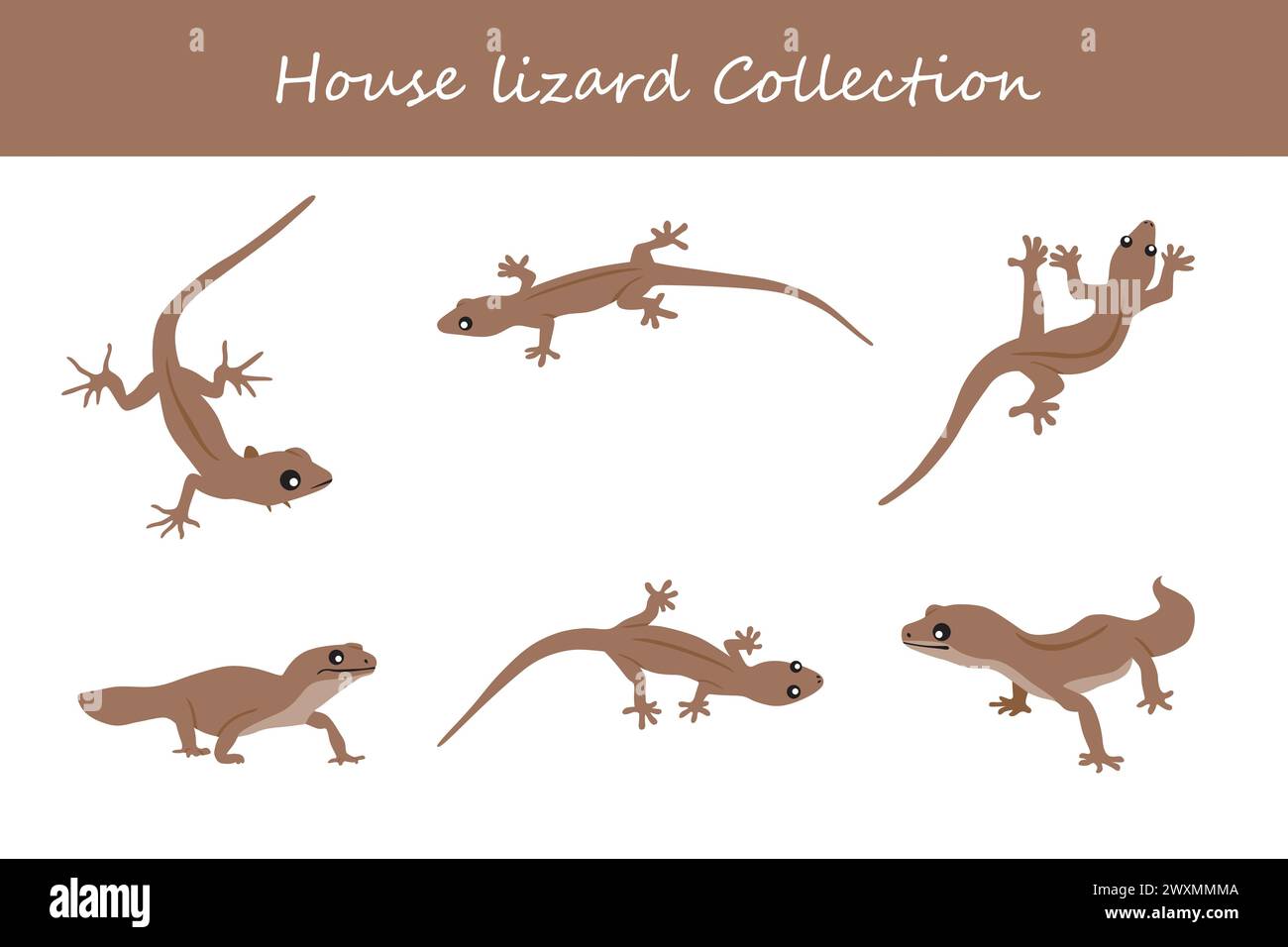 White day gecko Stock Vector Images - Alamy