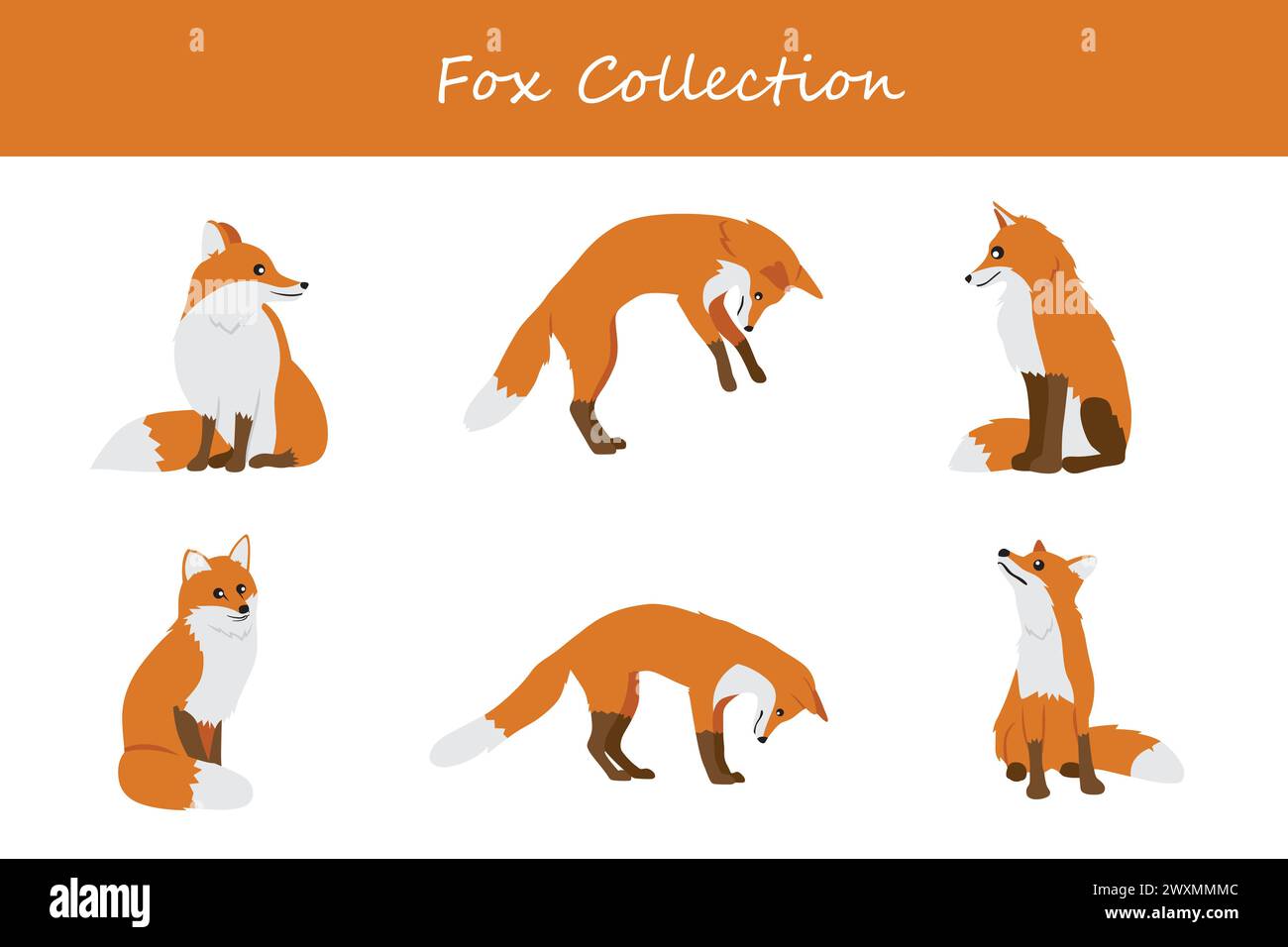 fox collection. Vector illustration. Isolated on white background Stock ...