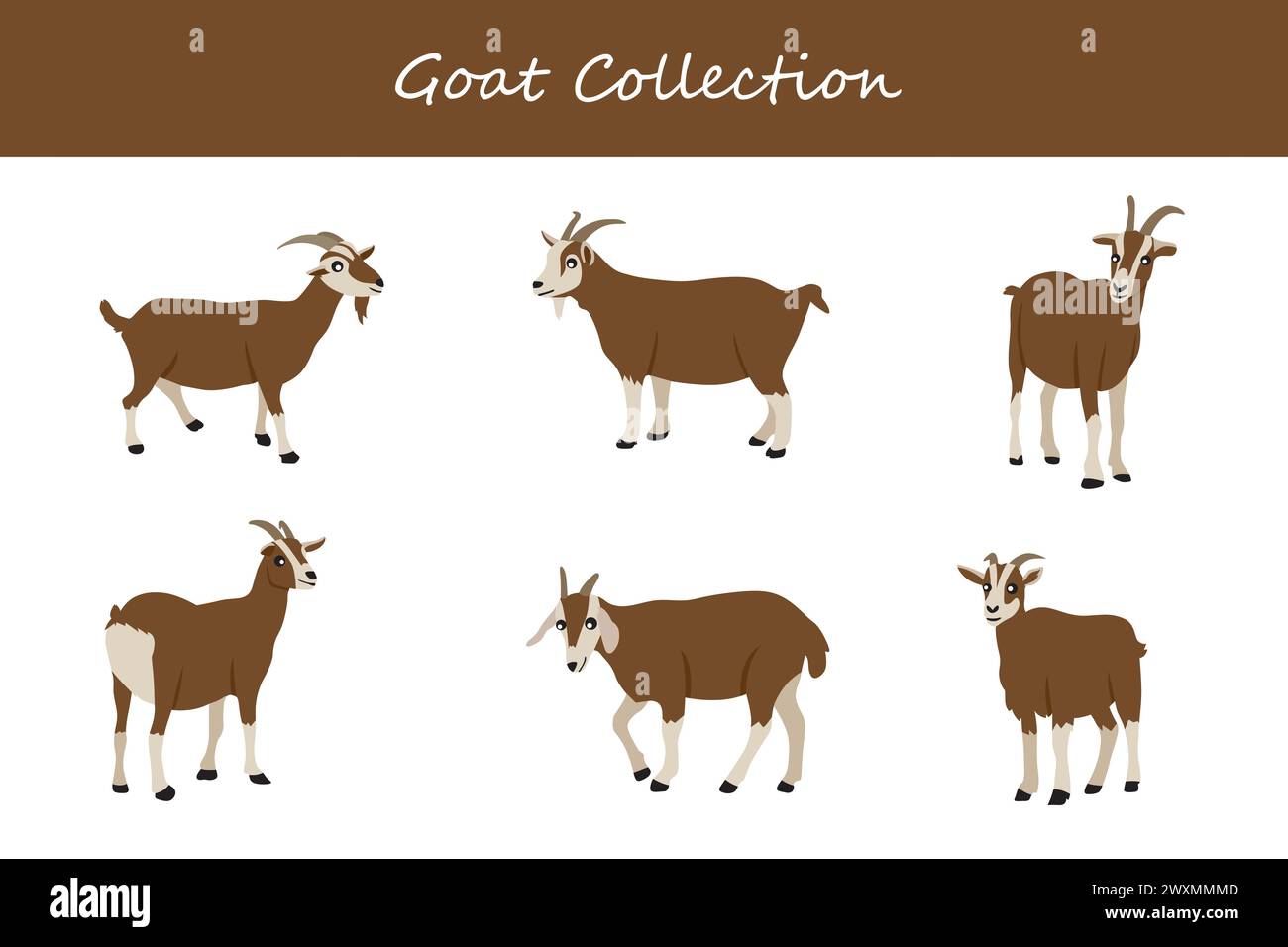 goat collection. Vector illustration. Isolated on white background ...