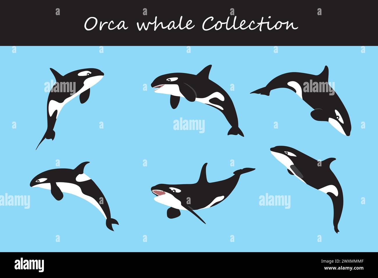 orca collection. Vector illustration. Isolated on white background ...