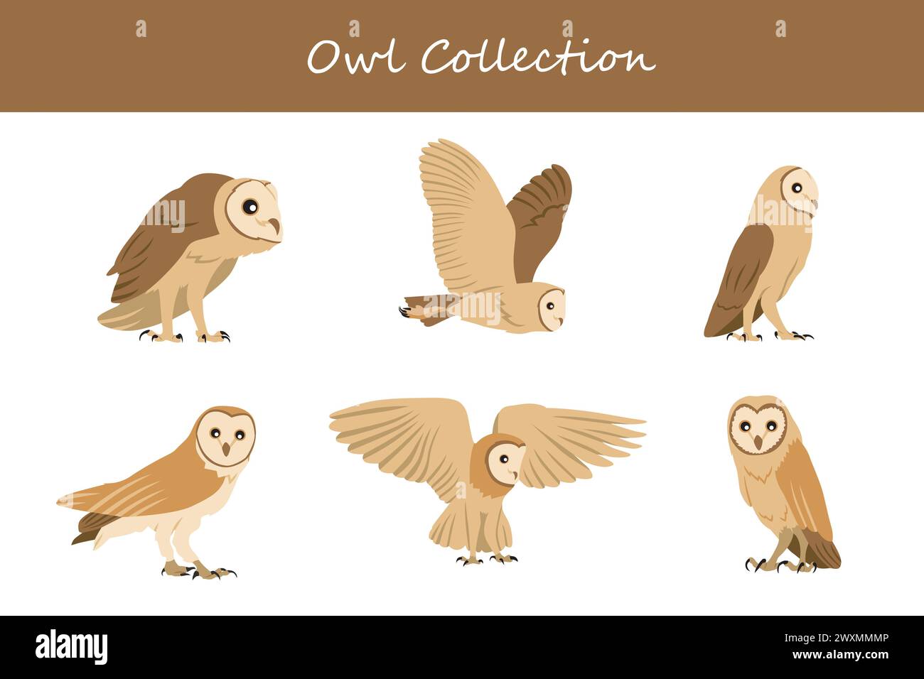 Owl vector set. Cute cartoon character in different poses and attitudes ...