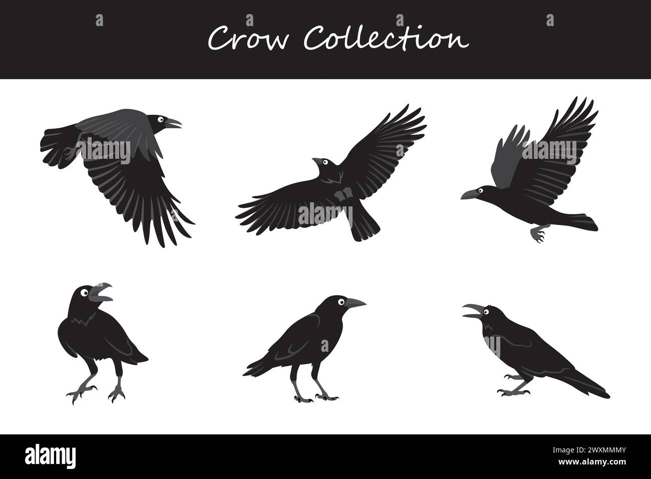 crow collection. Vector illustration. Isolated on white background ...