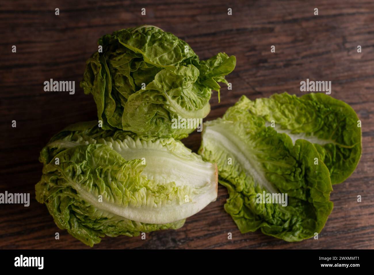 Baby green romaine lettuce hi-res stock photography and images - Alamy