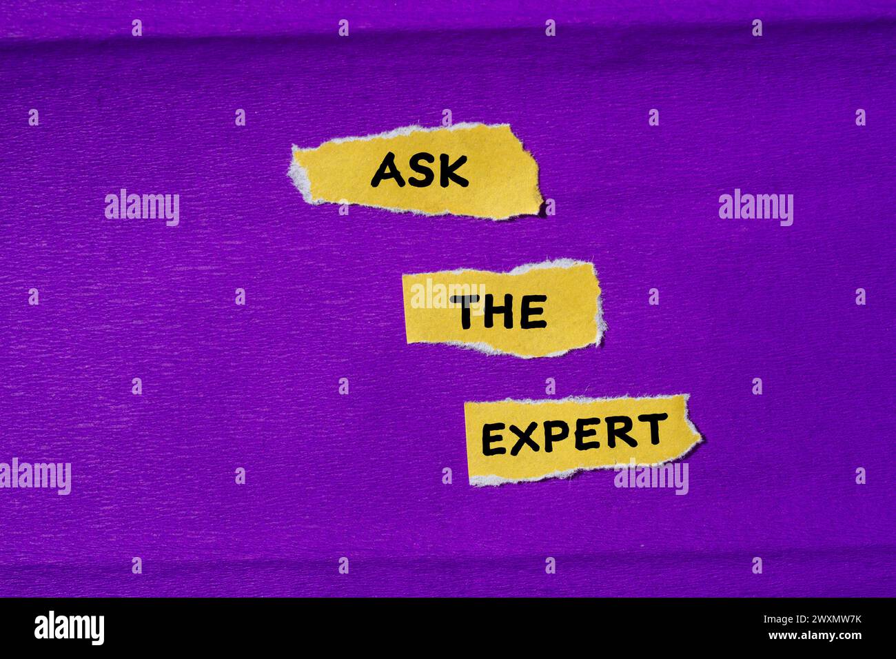 Ask the expert words written on yellow torn paper pieces with purple ...