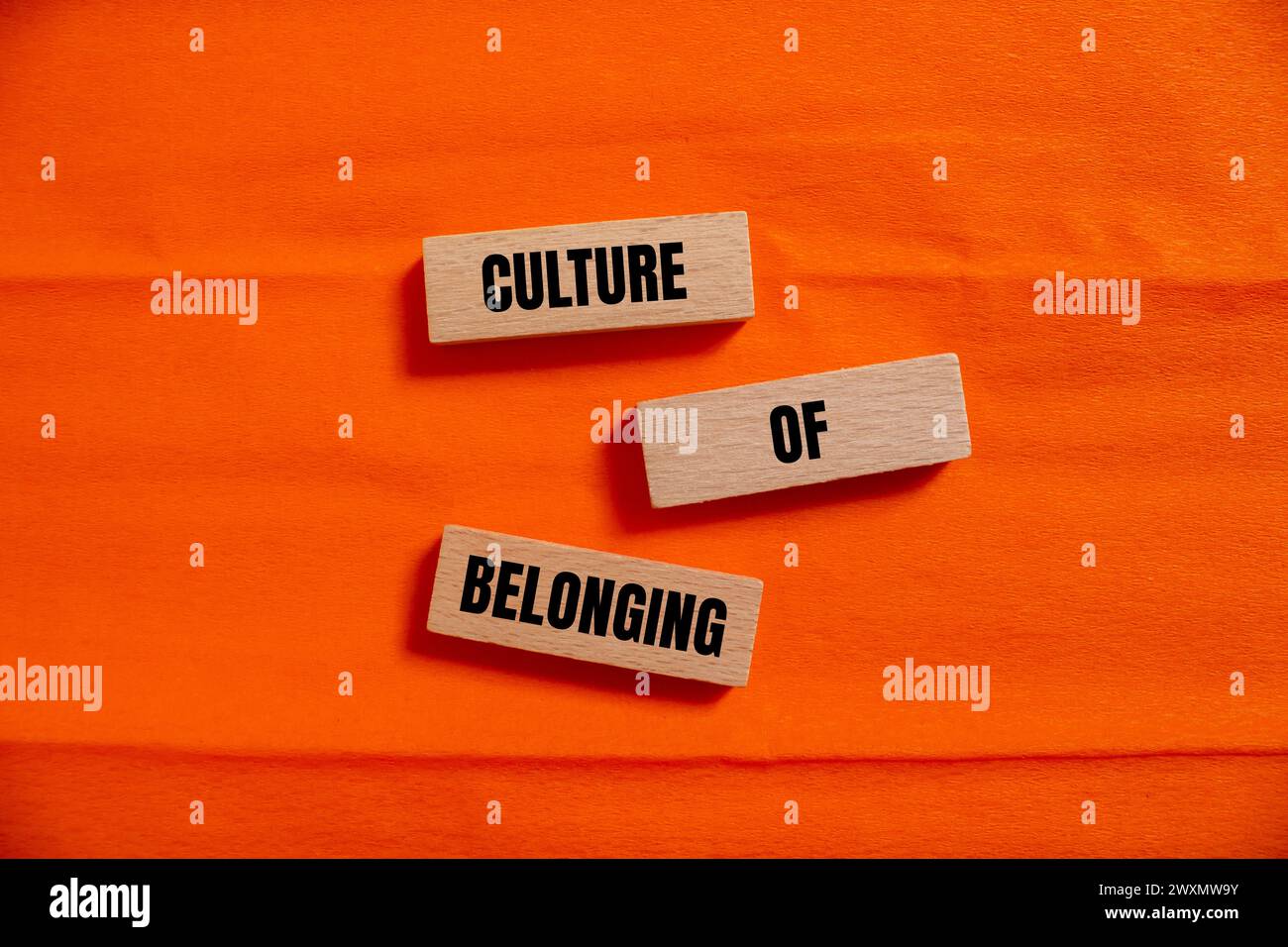 Culture of belonging words written on wooden blocks with orange ...