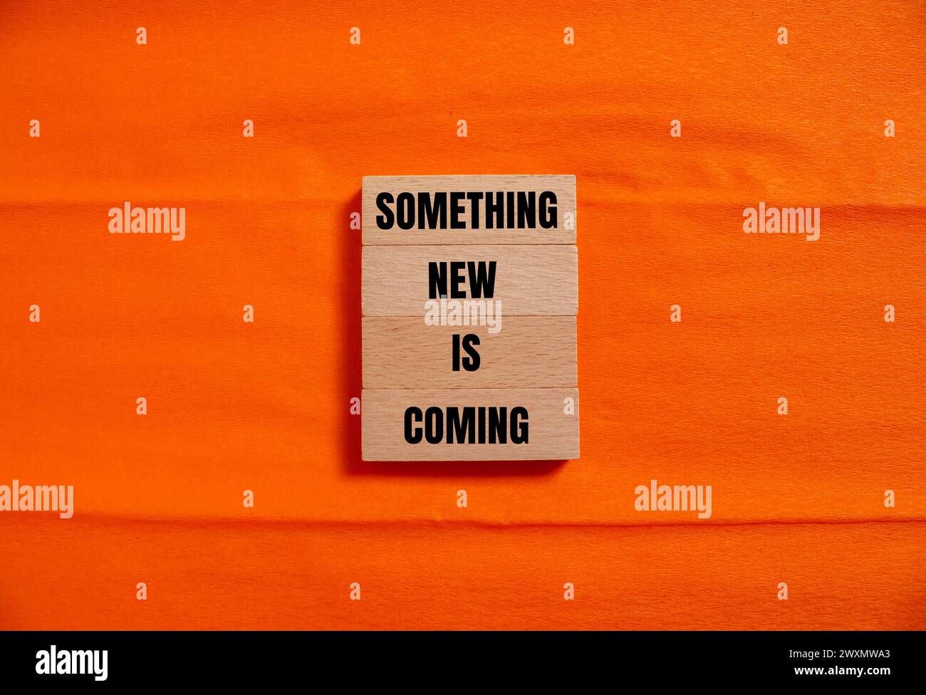 Something new is coming words written on wooden blocks with orange ...