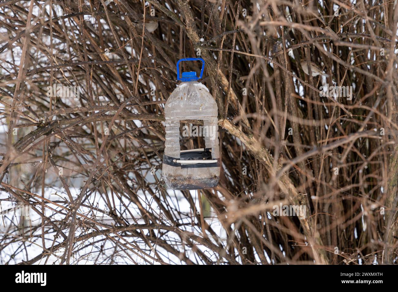 Plastic bottle bird feeder hi-res stock photography and images - Alamy