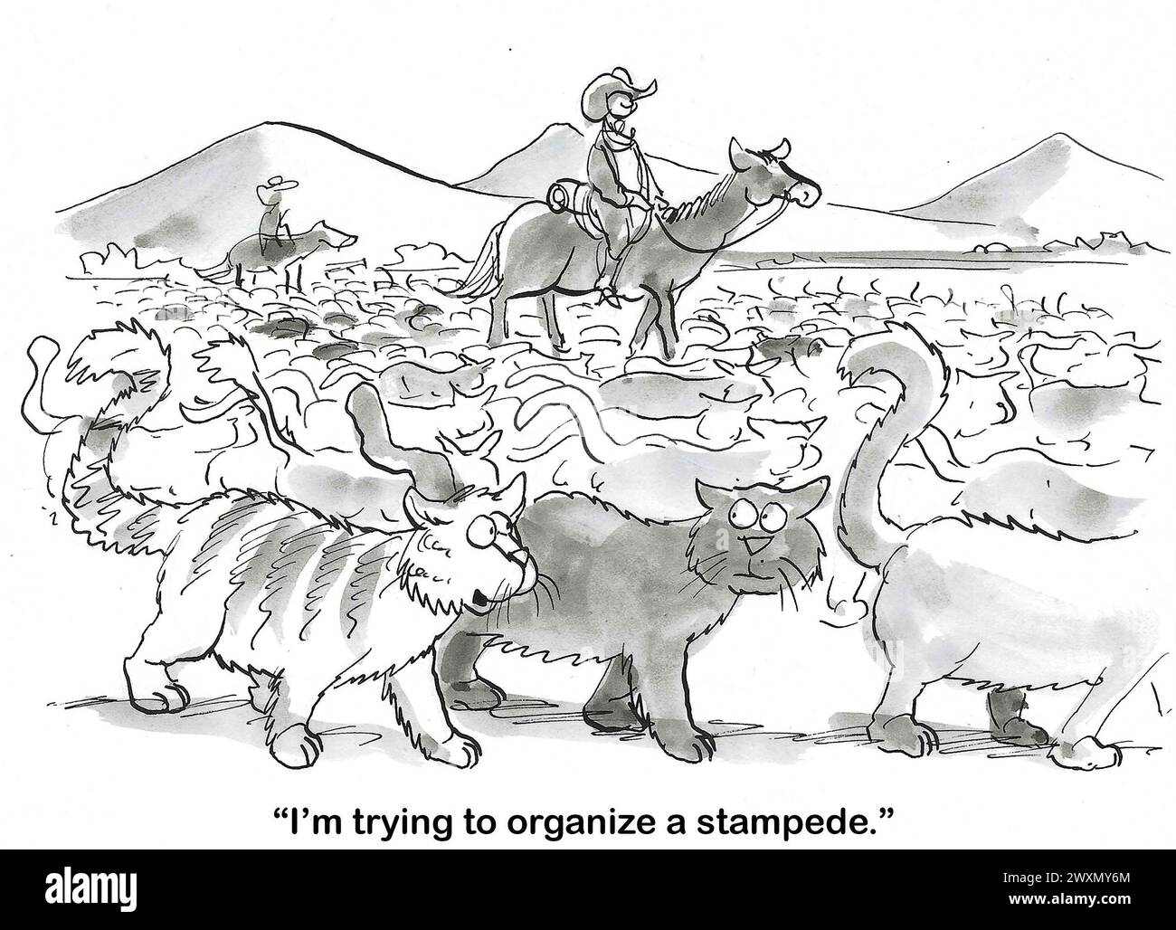 BW cartoon of a cat trying to organize a cat stampede Stock Photo - Alamy