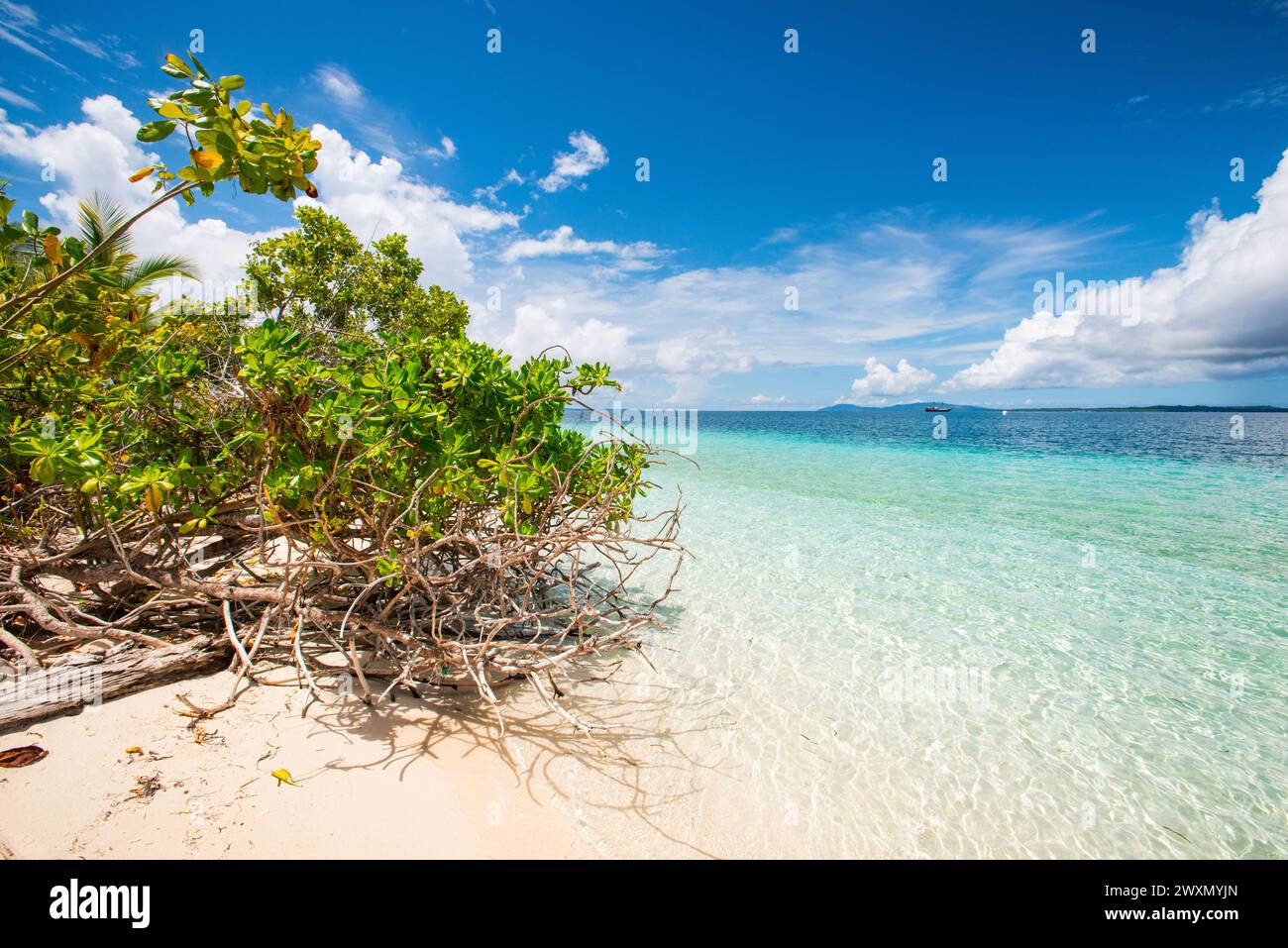 The Island of Koon in the Maluku. Far in the east of Indonesia there ...