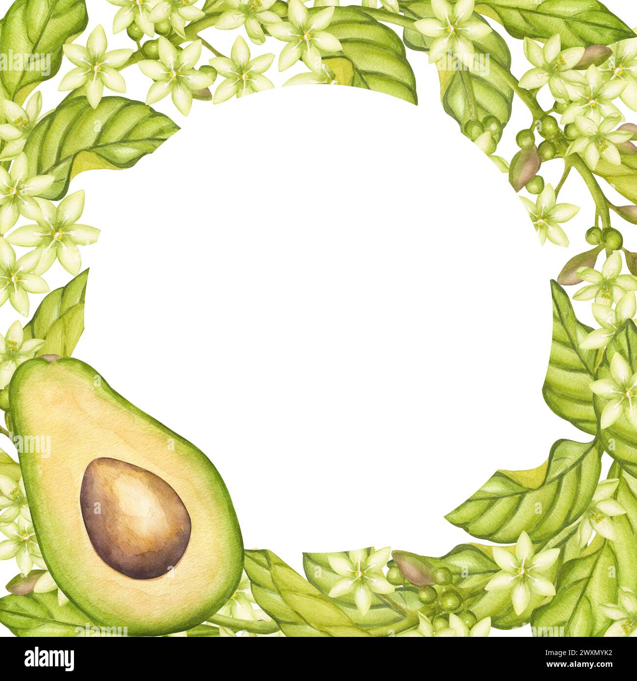 Avocado round frame. Fruit half with seed core, sliced pieces, green ...