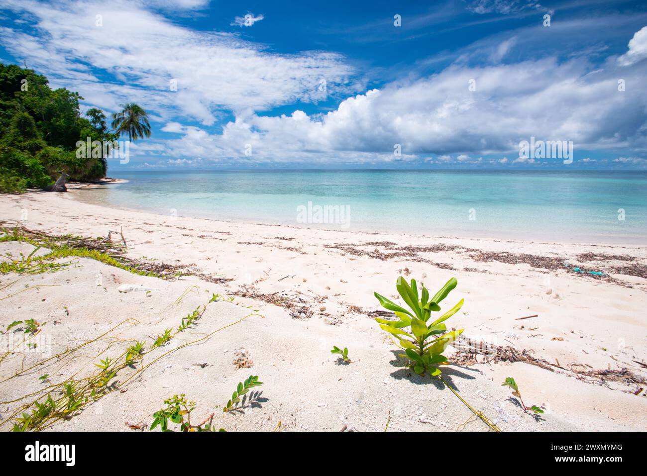 The Island of Koon in the Maluku. Far in the east of Indonesia there ...