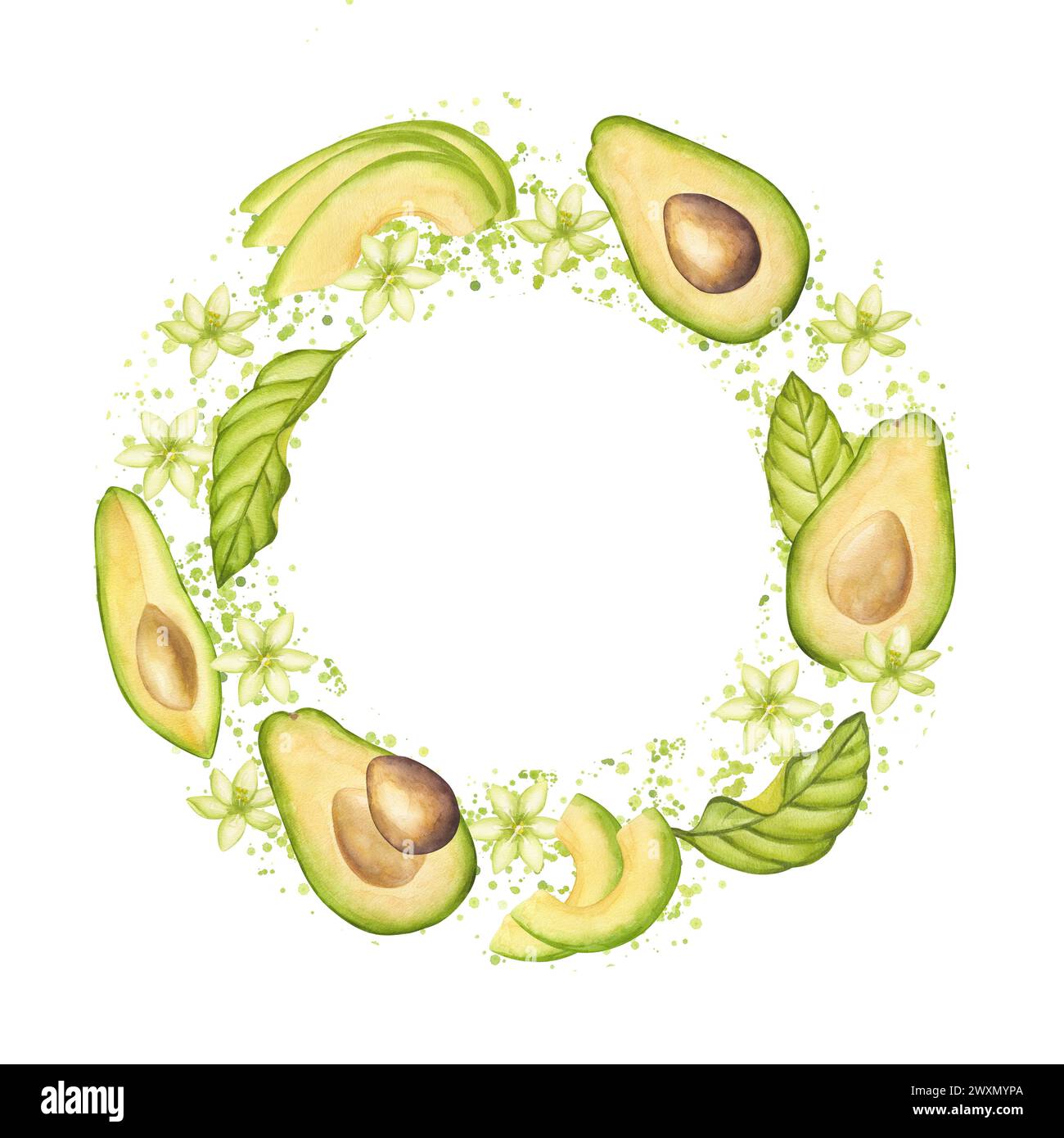 Avocado round wreath frame. Fruit half with seed core, sliced pieces ...