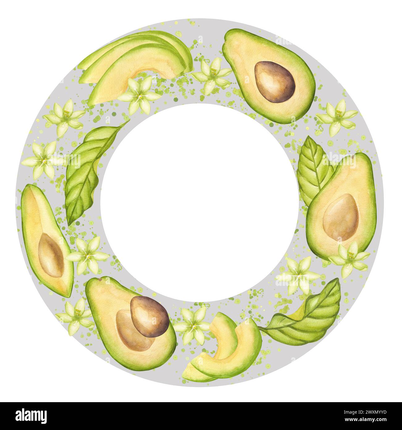 Avocado round wreath frame. Fruit half with seed core, sliced pieces ...