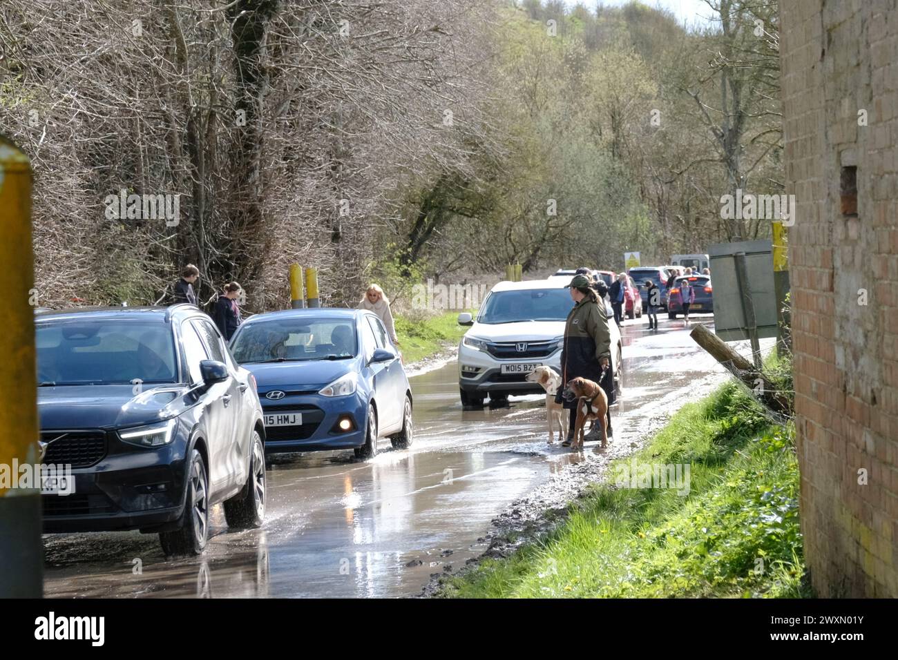 Imber, UK. 1st Apr, 2024. A busy day at Imber on Salisbury Plain. Imber ...