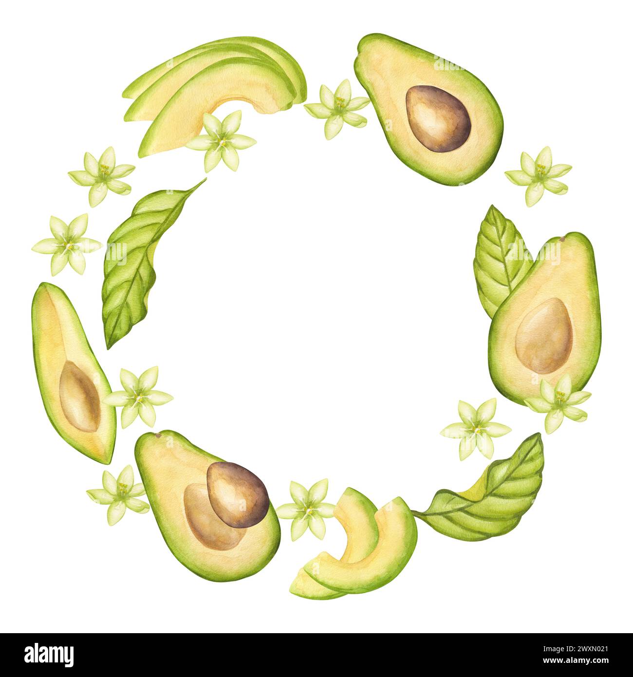 Avocado round wreath frame. Fruit half with seed core, sliced pieces ...