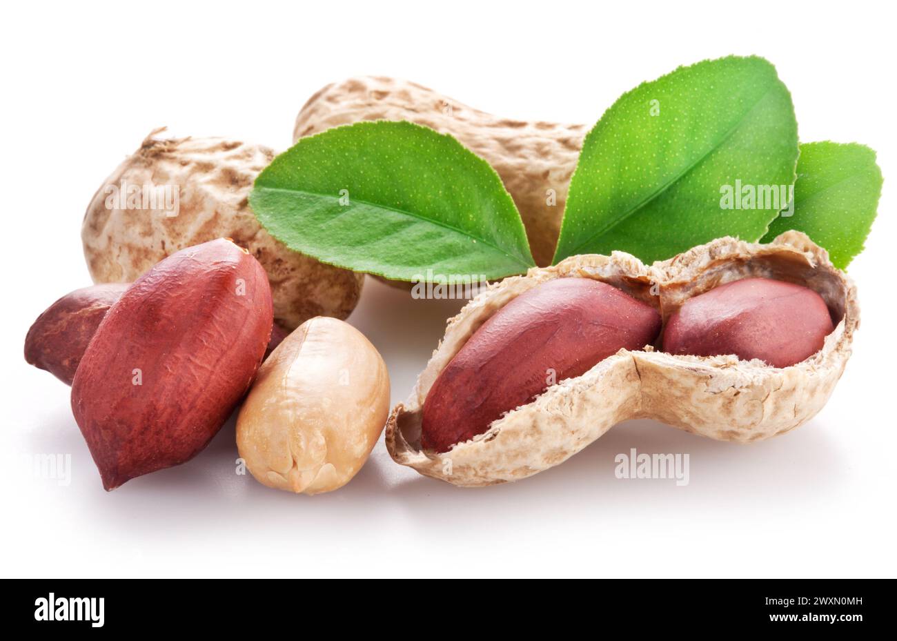 Peanuts or groundnuts isolated on white background. Close-up Stock ...