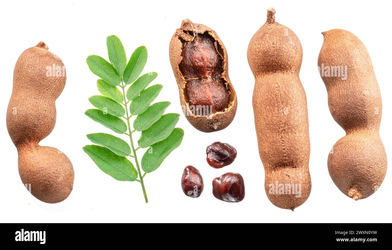 Ripe tamarind fruit, tamarind seeds and leaves isolated on white ...