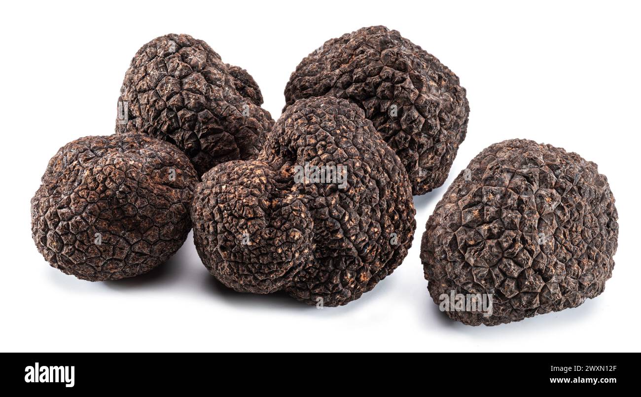 Summer truffles and truffle slices isolated on white background. Close ...