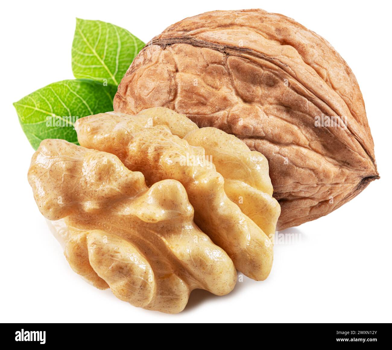 Whole walnut and walnut kernel with leaves isolated on white background ...