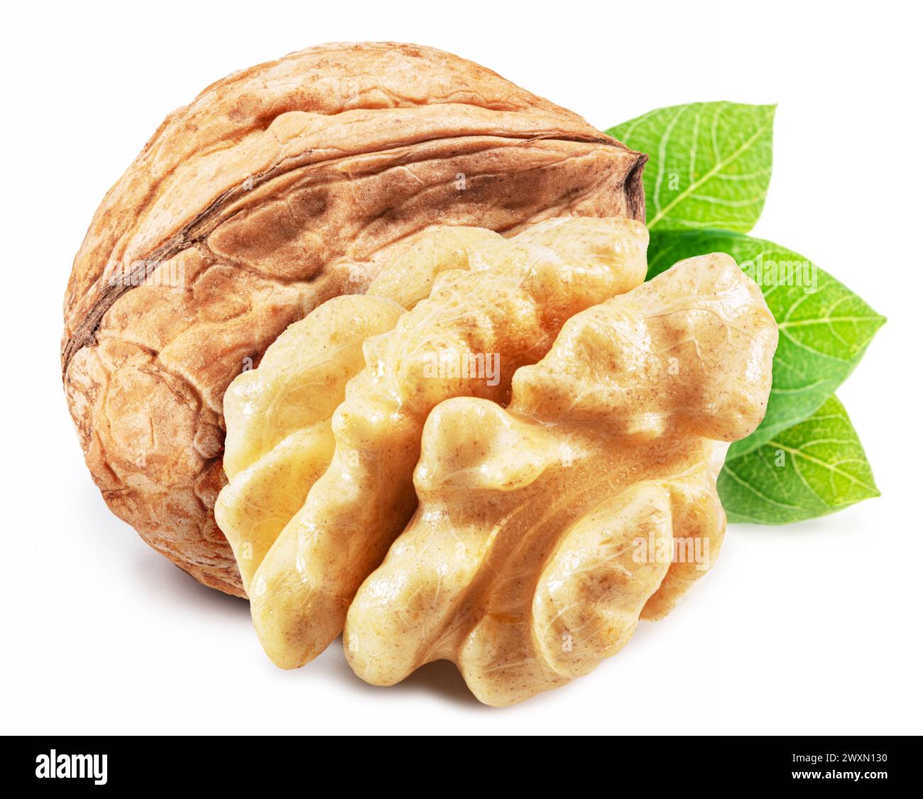 Whole walnut and walnut kernel with leaves isolated on white background ...