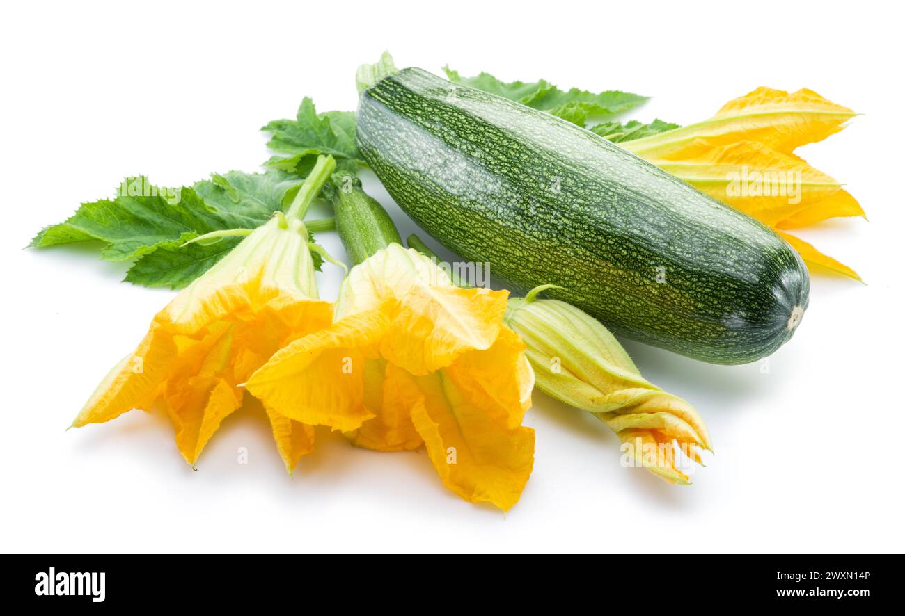Fresh courgette or zucchini with leaf and zucchini flowers isolated on ...