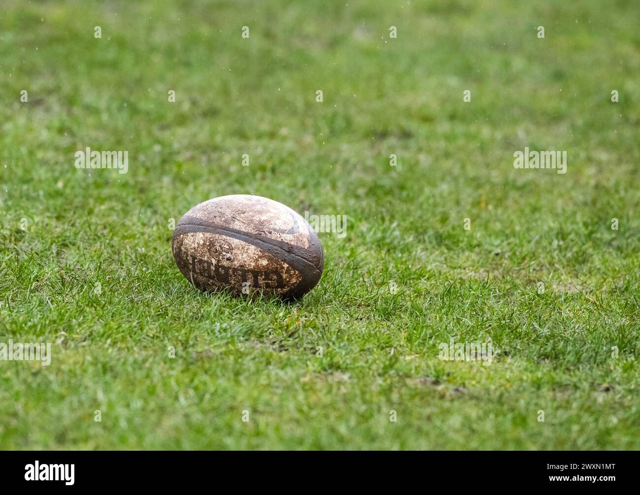 English amateur rugby union football playing in wet and muddy ...