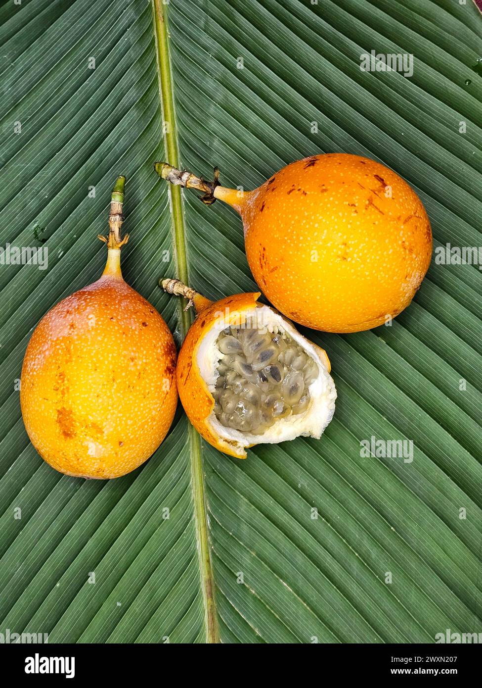 Agricultura peru hi-res stock photography and images - Alamy