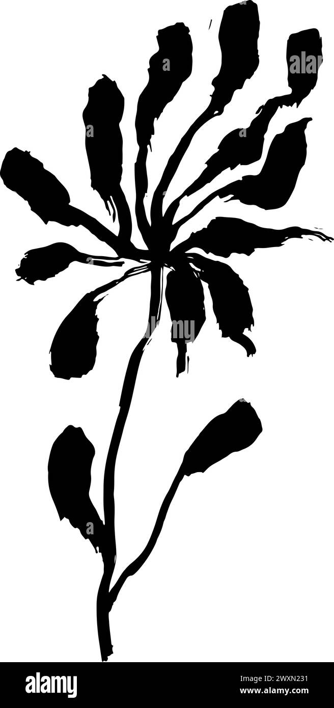 Grunge Dry Brush Ink Wild Flower Stock Vector Image & Art - Alamy