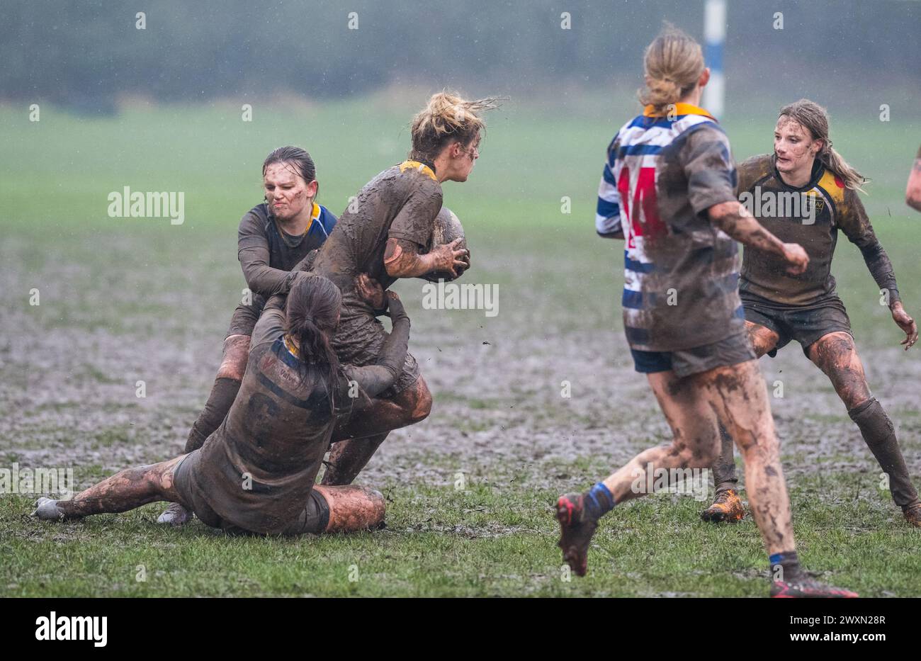 English amateur rugby union women's game playing in wet and muddy ...