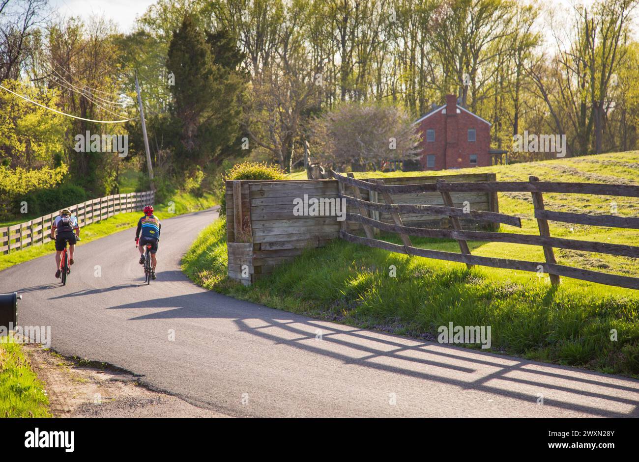 Two bikers on country road, Tracys Landing area, Chesapeake bay ...