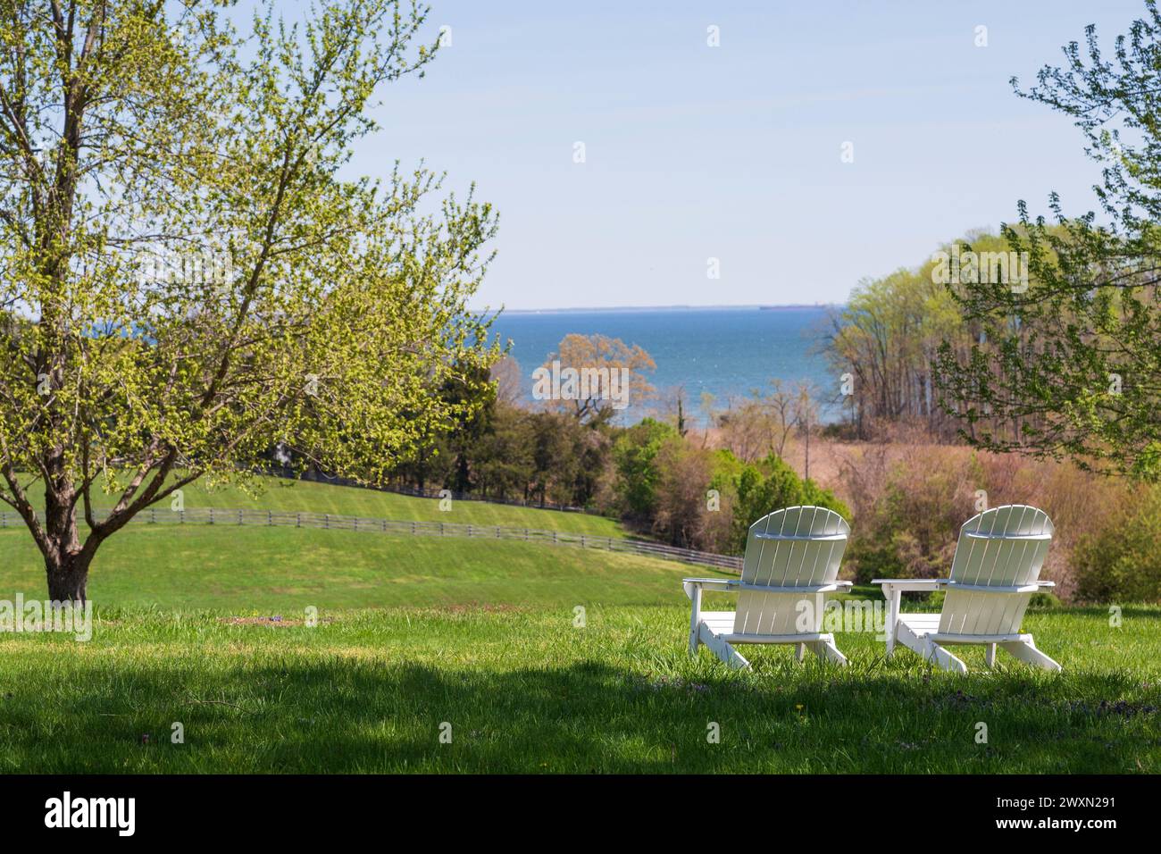 Two adirondack chairs on lawn, Tracys Landing area, Chesapeake bay ...