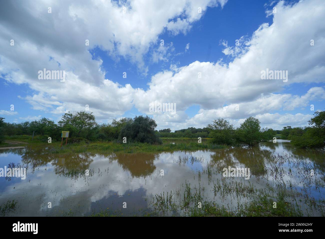 Images of the Dehesa de Torneros after the last rains in Andalusia, on ...