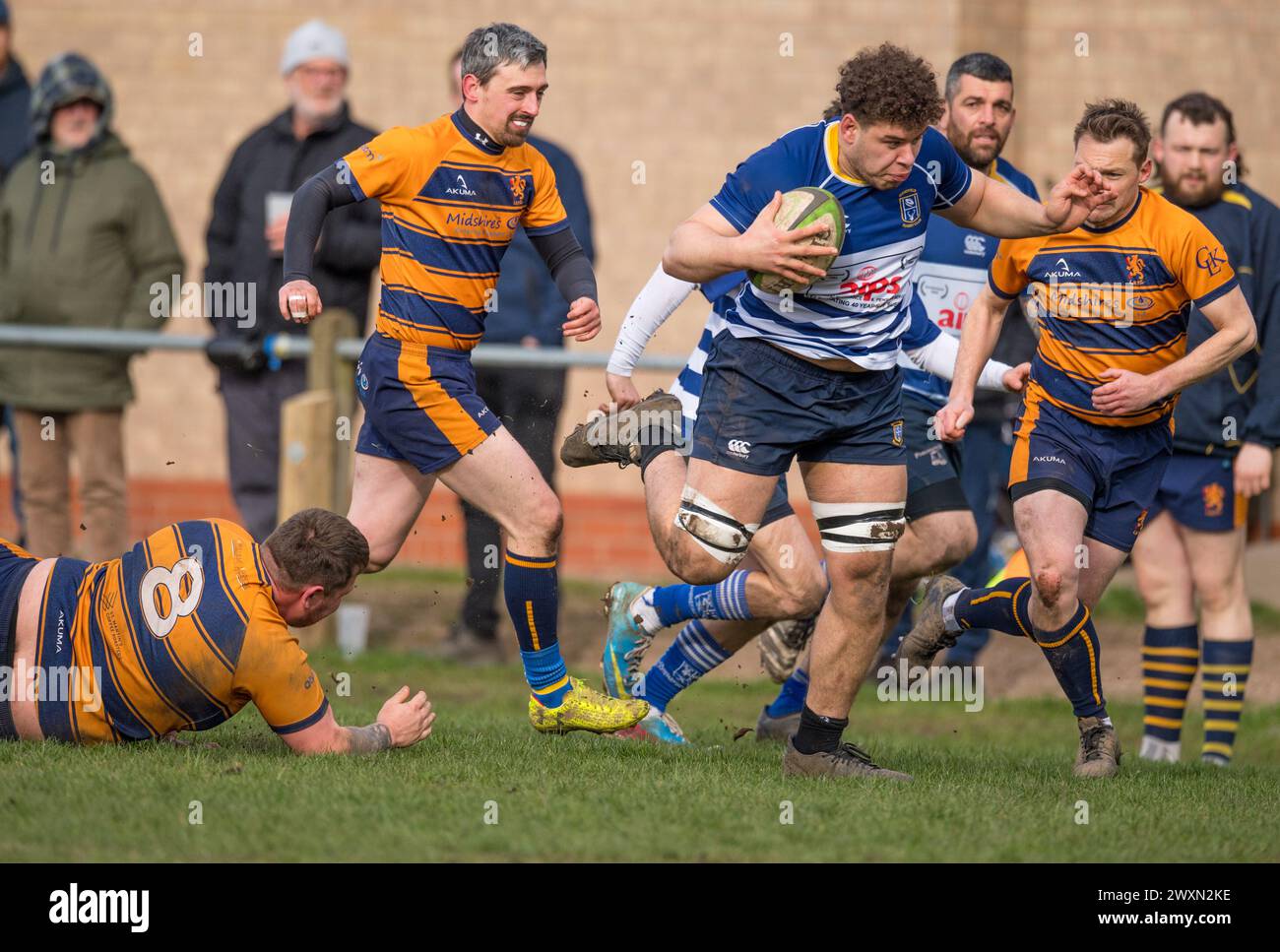 English mens amateur Rugby Union players playing in a league game Stock ...