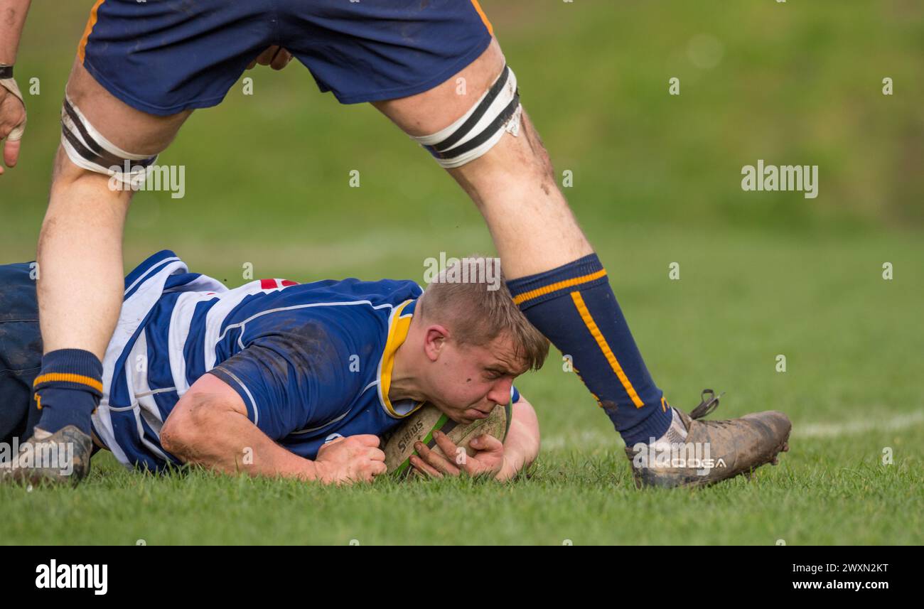 Male rugby player scoring hi-res stock photography and images - Alamy