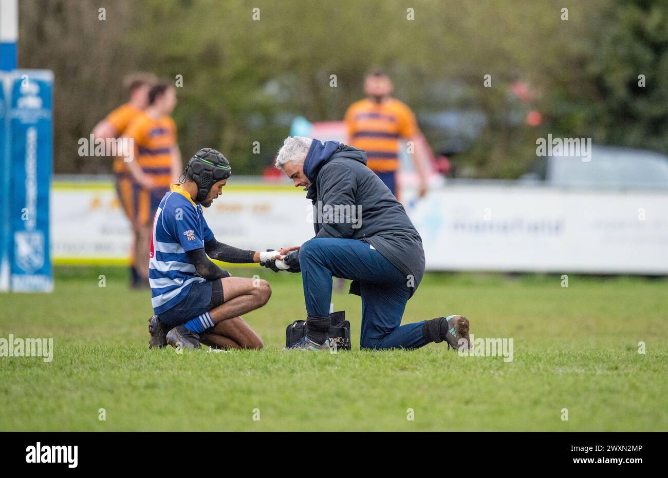 English amateur Rugby Union player recieving first aid treatment whilst ...