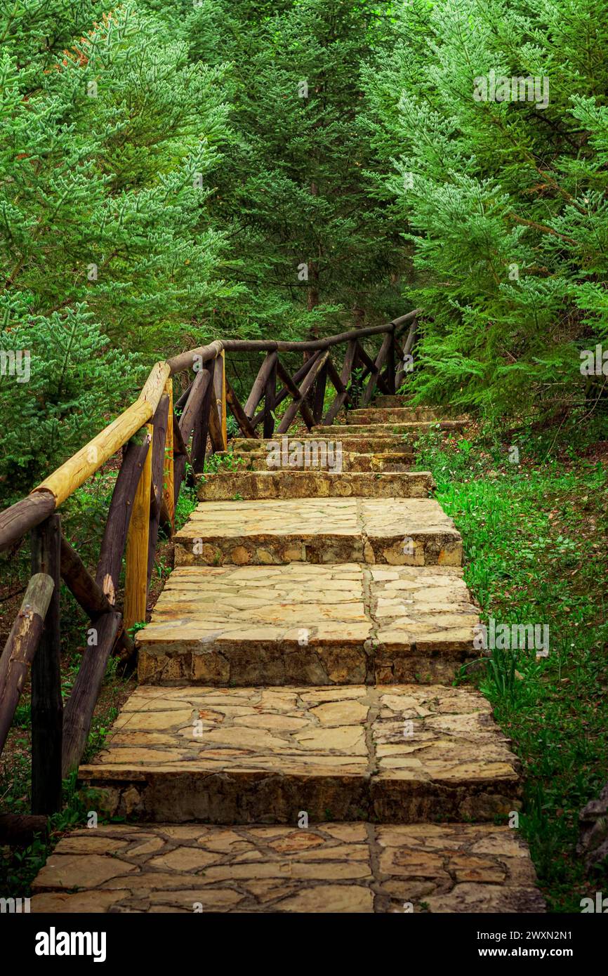 Andalusia el bosque spain hi-res stock photography and images - Alamy