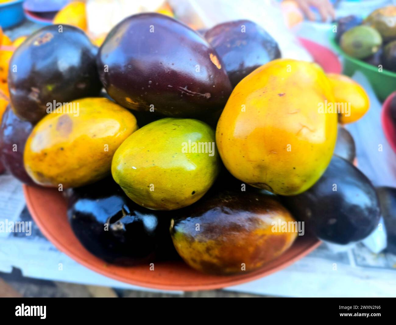 Umari (Poraqueiba sericea) from the Peruvian Jungle Stock Photo - Alamy