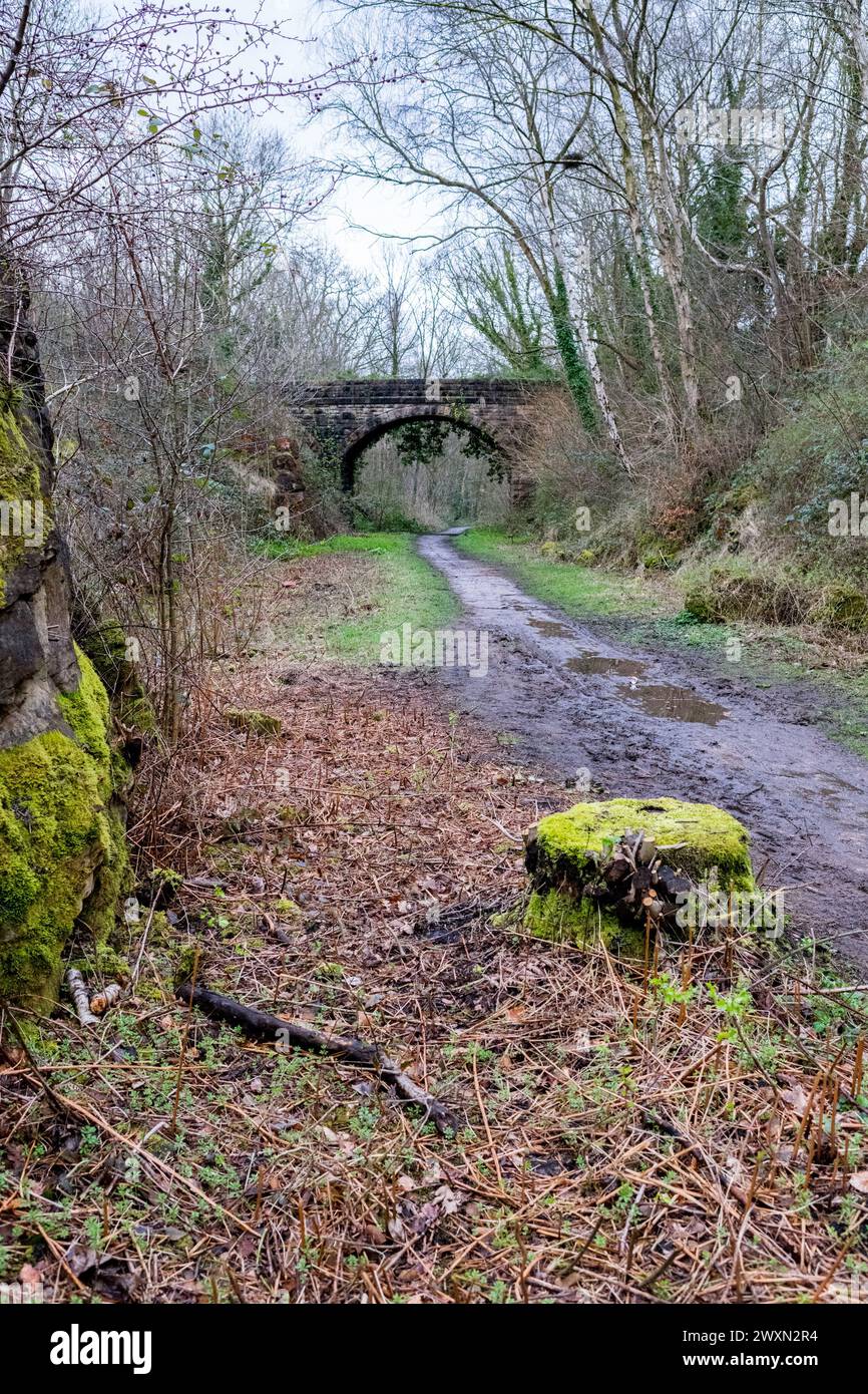 Disused railway line used for a bridleway with victorian stone bridge ...