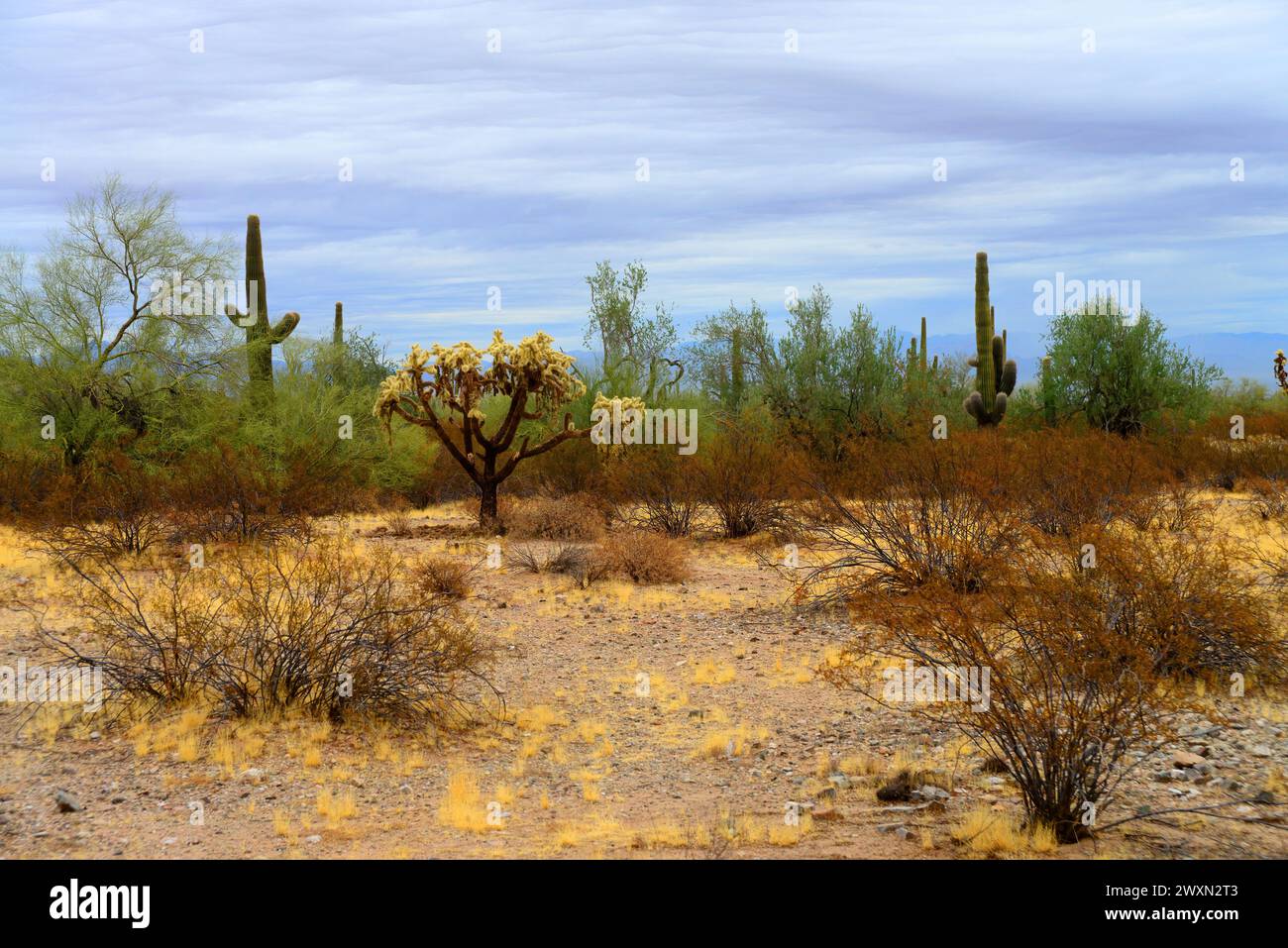 The Vast Sonora desert San Tan mountains in central Arizona USA on a ...