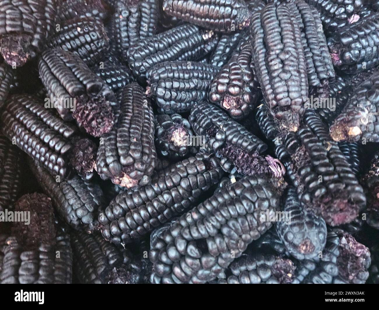 Maíz morado perú hi-res stock photography and images - Alamy