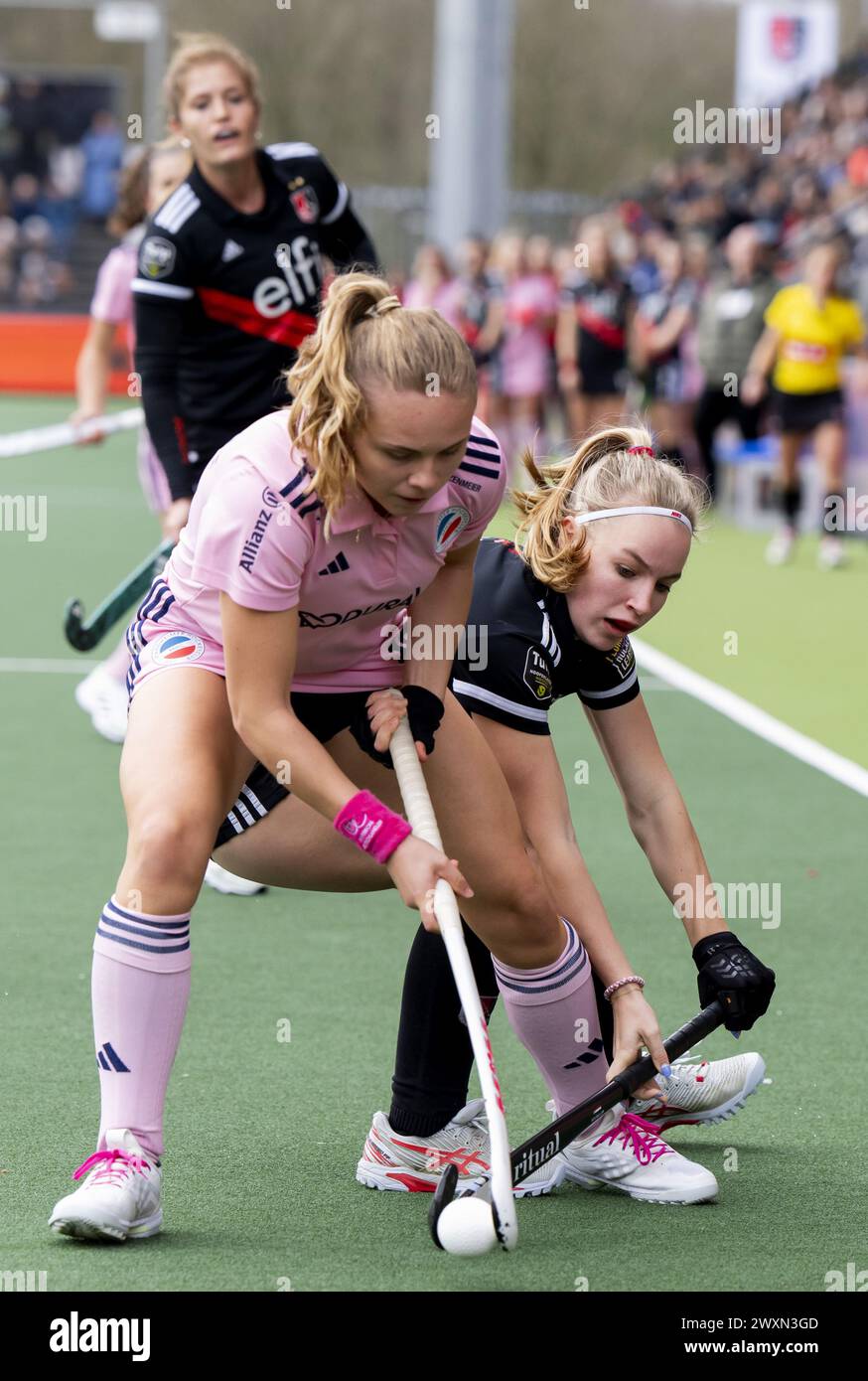 Noa muller hi-res stock photography and images - Alamy
