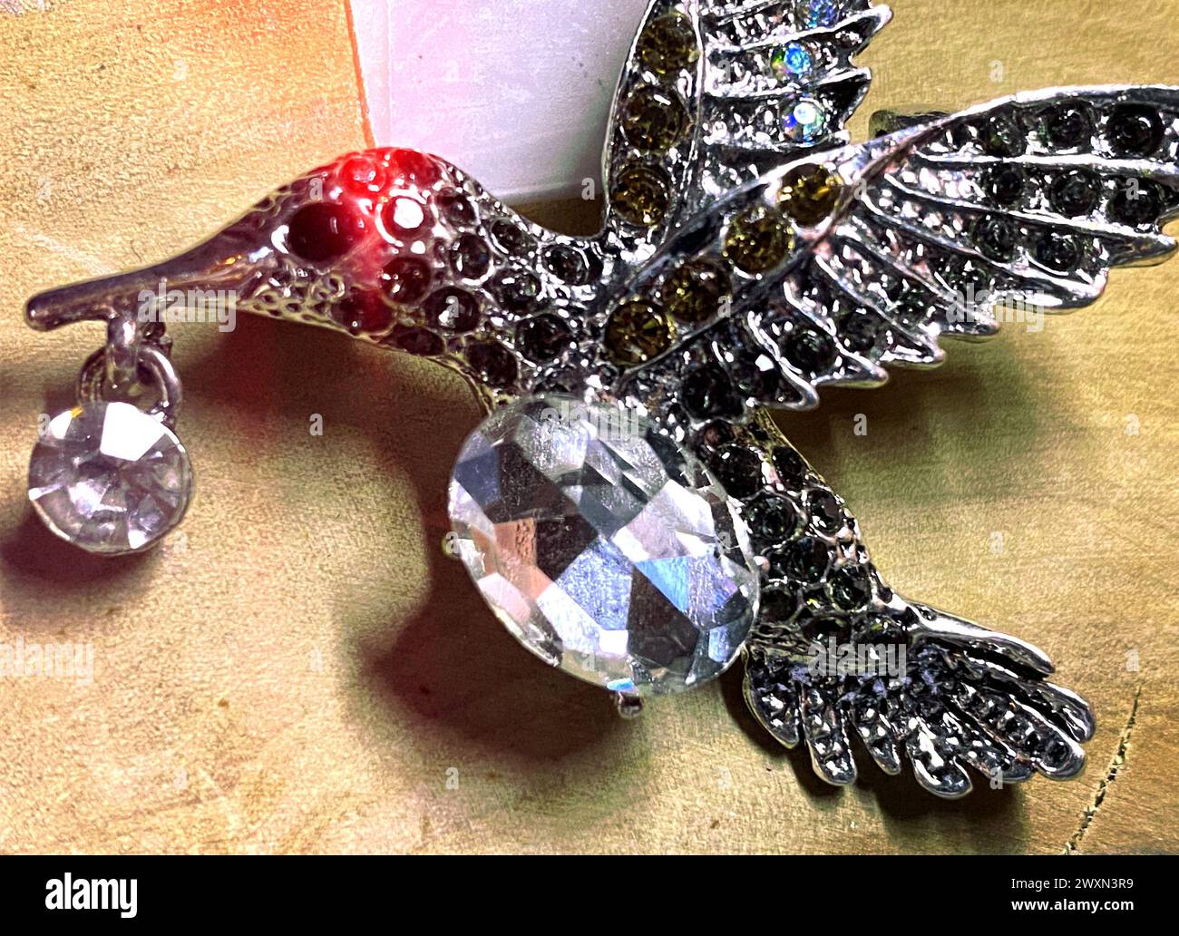 A hummingbird brooch resting on an open book Stock Photo - Alamy
