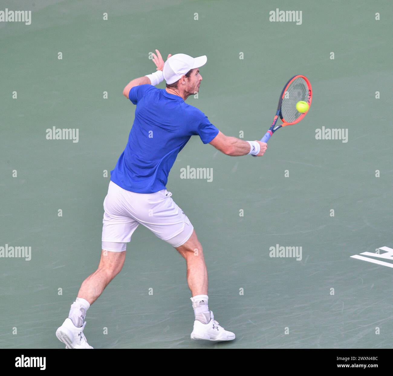 Dubai, February 26th 2024-Photo of British tennis player Andy Murray on ...