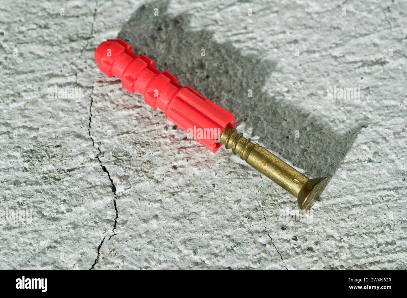 Screw in red dowel Stock Photo - Alamy