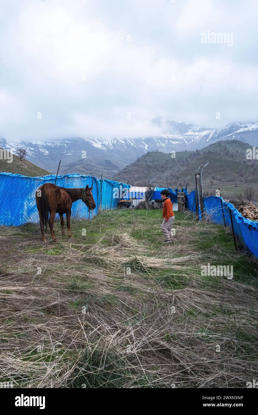 A child is in a horse stable. She has attracted her child's attention ...